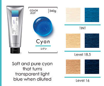 Hoyu Singapore | Color Your Heart | SOMARCA LAB.